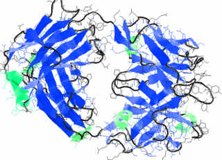Ofatumumab (Arzerra, Kesimpta) – Arznei-News